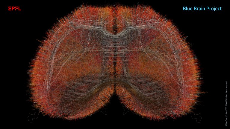 Blue Brain Project – L'Octopus Journal